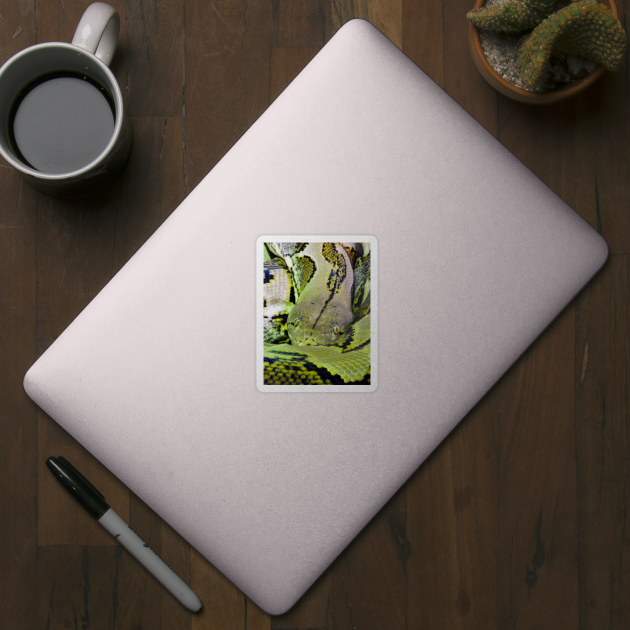Reticulated Python - Reticulated Python - Sticker | TeePublic